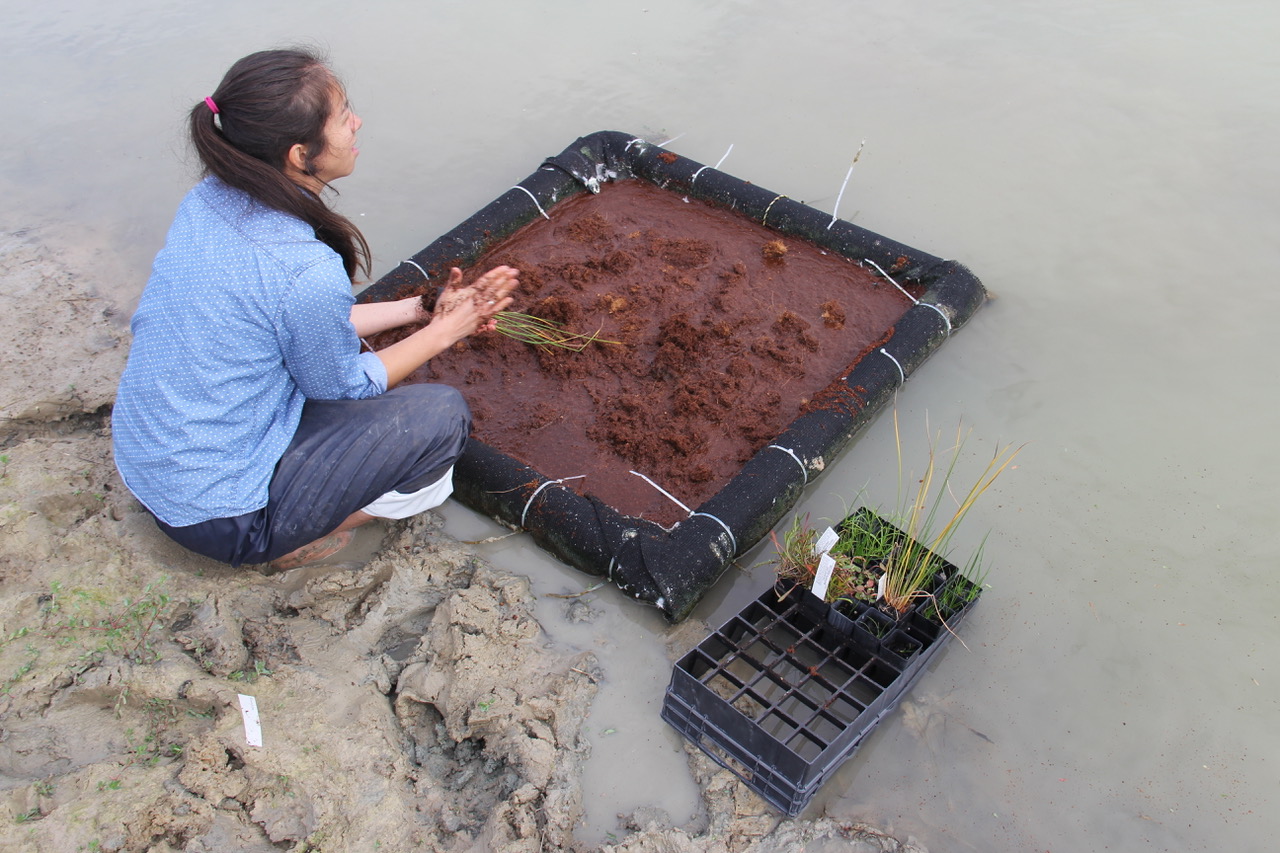 Making a floating habitat island | Yarnauwi Farm